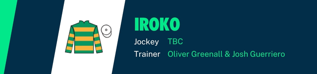 Grand National 2026: Declared Runners List, Jockeys & Betting Tips ...